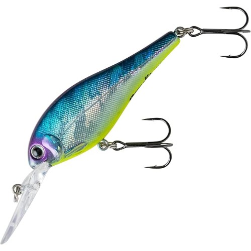 Bandit Lures Website: Premium Fishing Lures for Serious Anglers