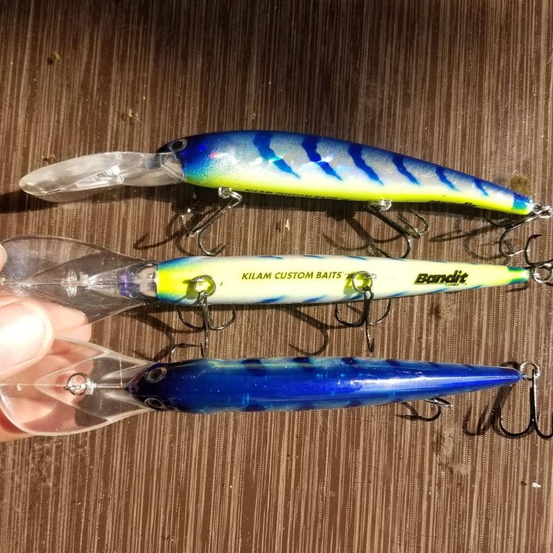 Bandit Lures Website: Premium Fishing Lures for Serious Anglers